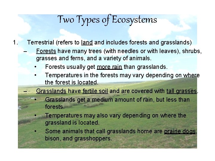 What is an Ecosystem An ecosystem contains all