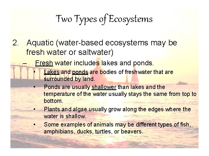 What is an Ecosystem An ecosystem contains all