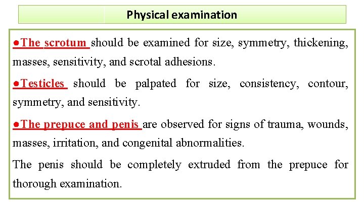 Physical examination The scrotum should be examined for