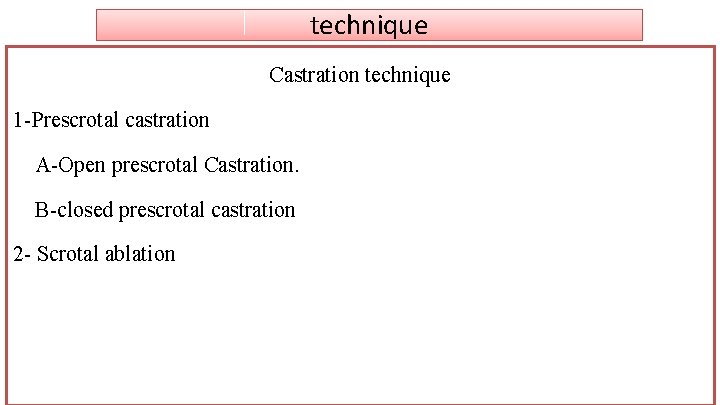 Physical examination The scrotum should be examined for
