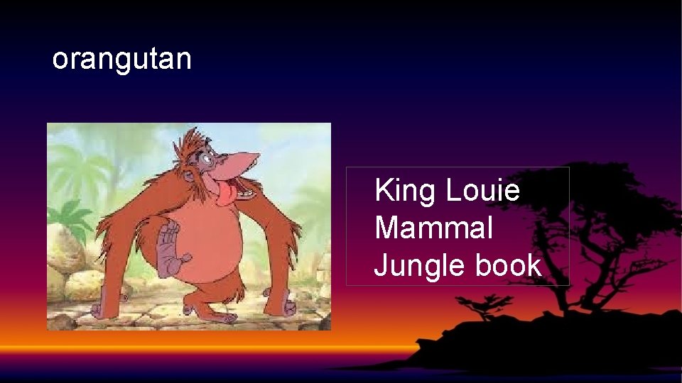 Cartoon zoology by apryl luckett 2 nd period