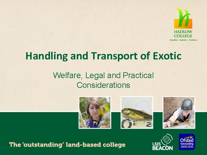 Handling and Transport of Exotic Welfare Legal and
