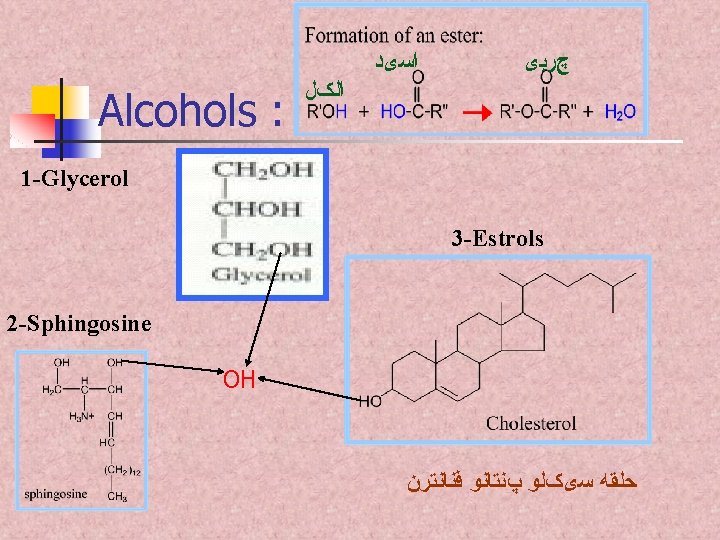 In the name of Gad Classification of Lipids