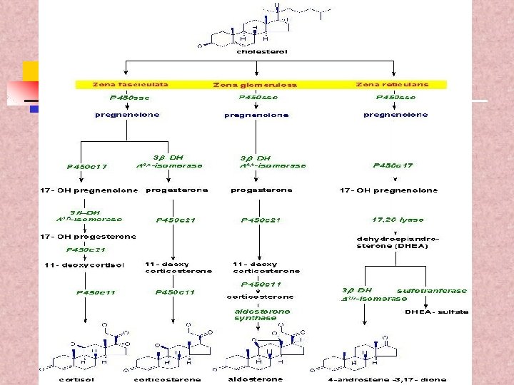 In the name of Gad Classification of Lipids