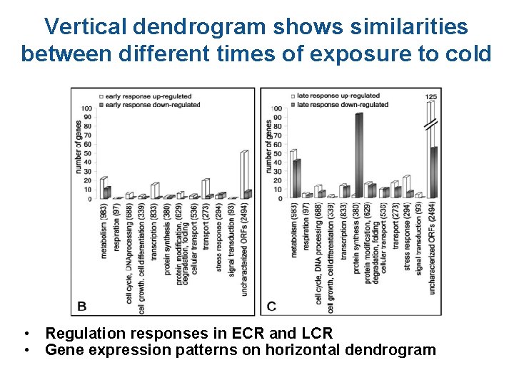 Cold Adaptation in Budding Yeast Schade B Jansen