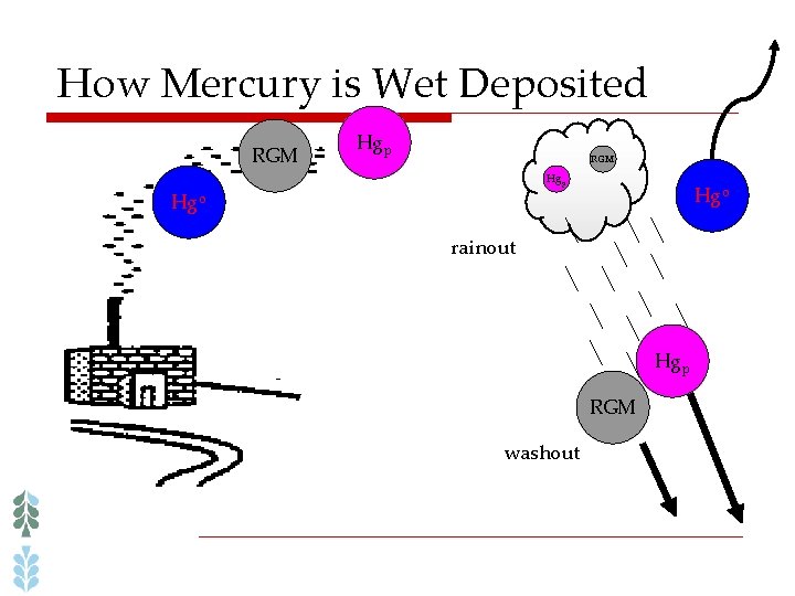 Why Should We Care About Mercury Deposition David