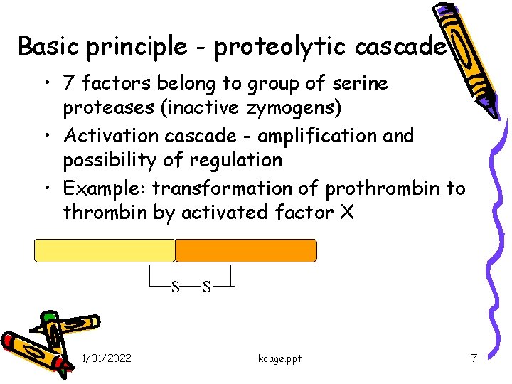 Disorders of haemostasis I The new conception of