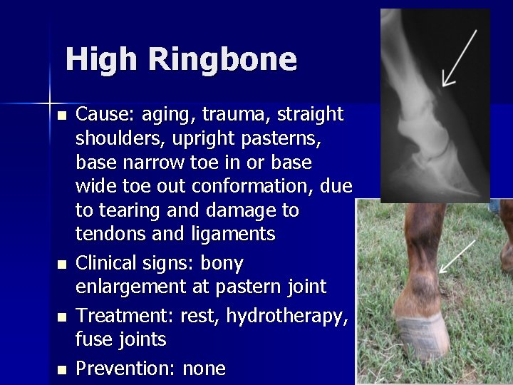Bag Of Bones or Good Structure Skeletal Disorders