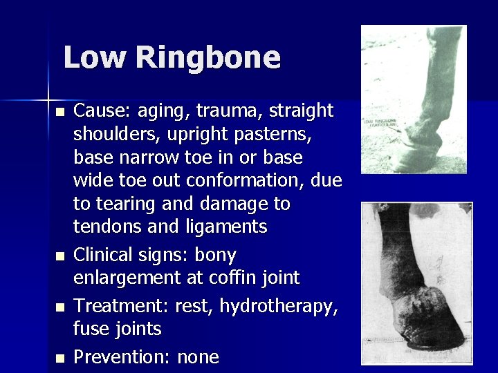 Bag Of Bones or Good Structure Skeletal Disorders