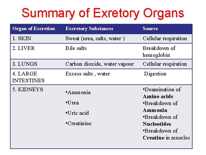 BIOLOGY 12 Excretory System Excretion is defined as