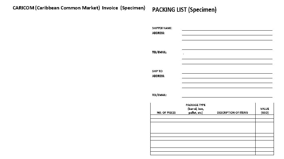 Doing Business in Dominican Republic Presenter Stacy Baig