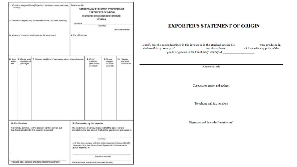 Doing Business in Dominican Republic Presenter Stacy Baig