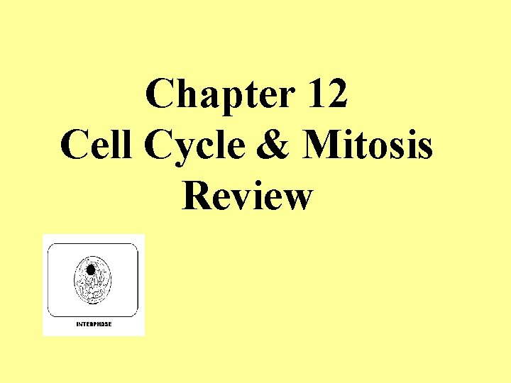 Chapter 12 Cell Cycle Mitosis Review This spot