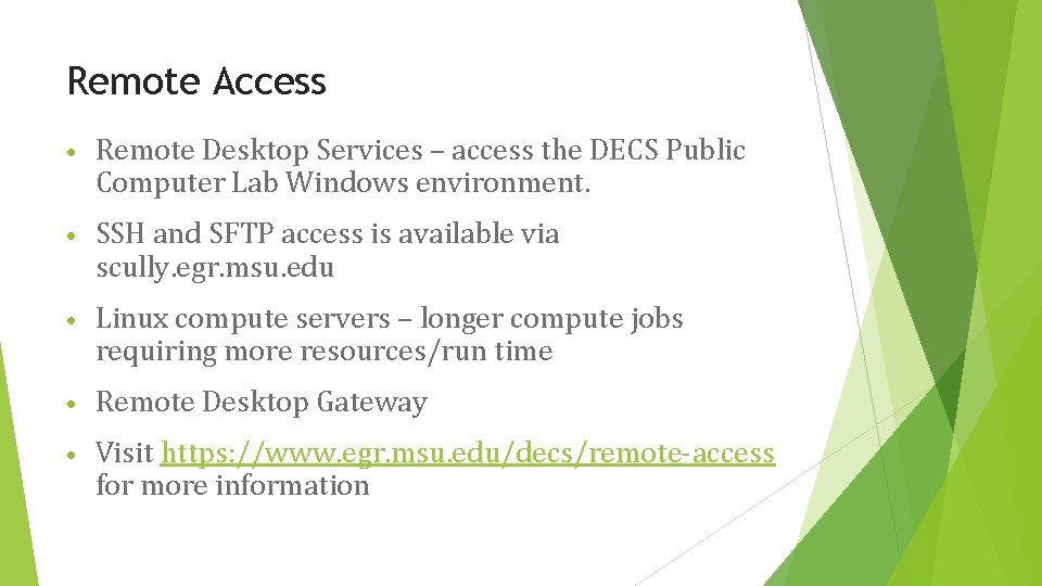 Division of Engineering Computing Services Michigan State University