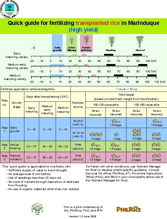 Quick guide for fertilizing transplanted rice in Marinduque