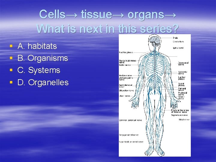 Aquatic ecosystems are water ecosystems Cell Theory All