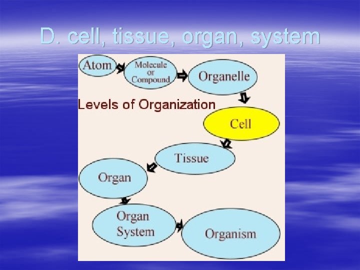 Aquatic ecosystems are water ecosystems Cell Theory All