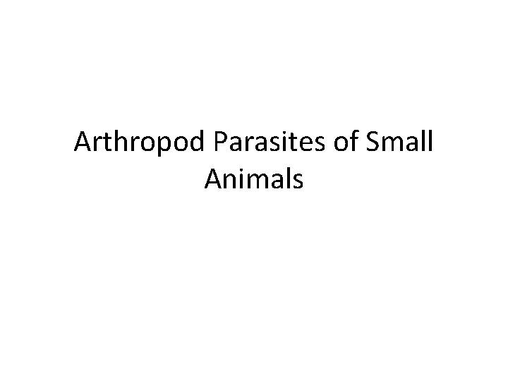Arthropod Parasites of Small Animals Phylum Arthropoda jointed