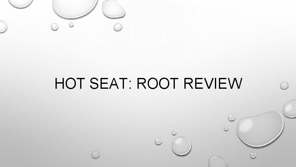 HOT SEAT ROOT REVIEW WHAT UNIQUE ROOT HELPS