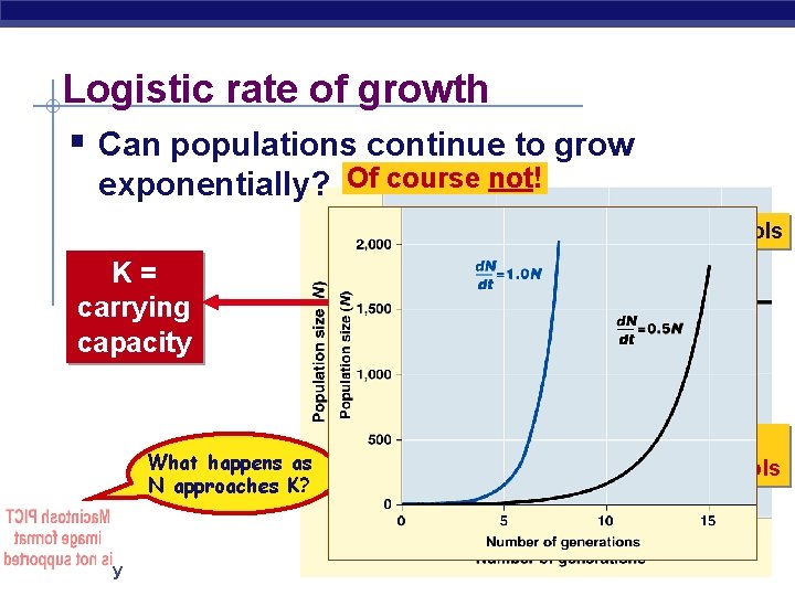 Zebra mussel 2 months u u AP Biology