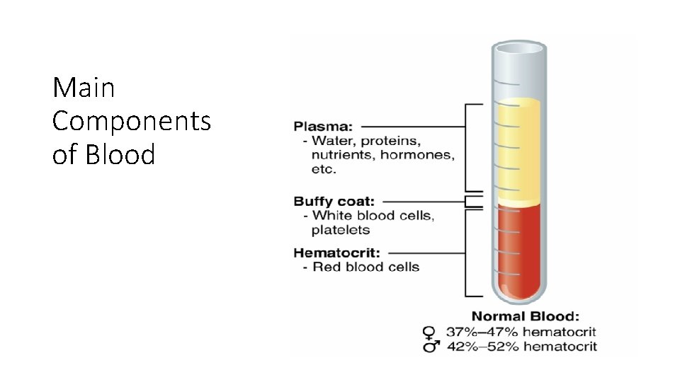 Hand in lab report from before spring break