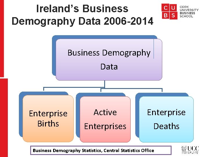 The stock of Irish businesses Implications for Irish