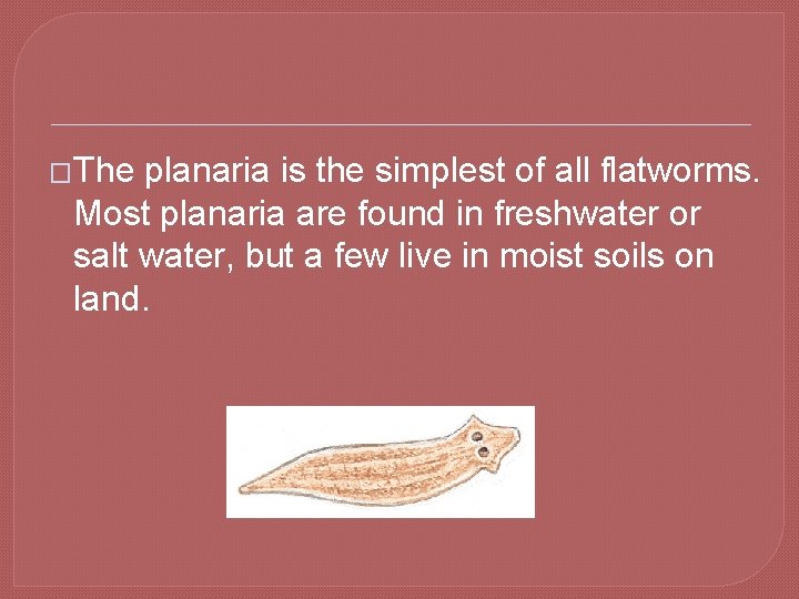 Chapter 5 Reproduction and Development Startup If Activity