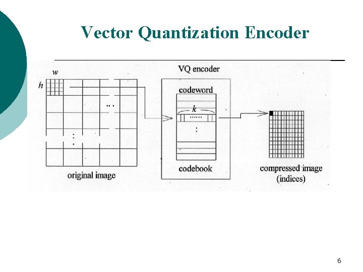Introduction v v v Images have been widely