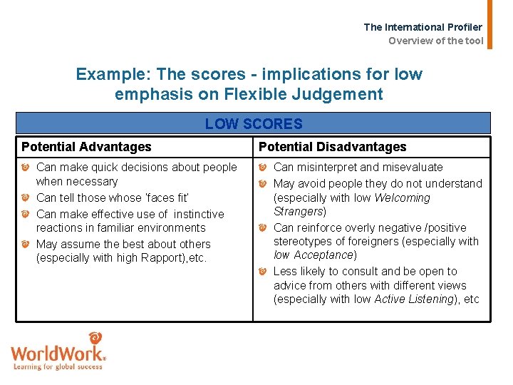 The International Profiler The International Profiler Presentation Overview