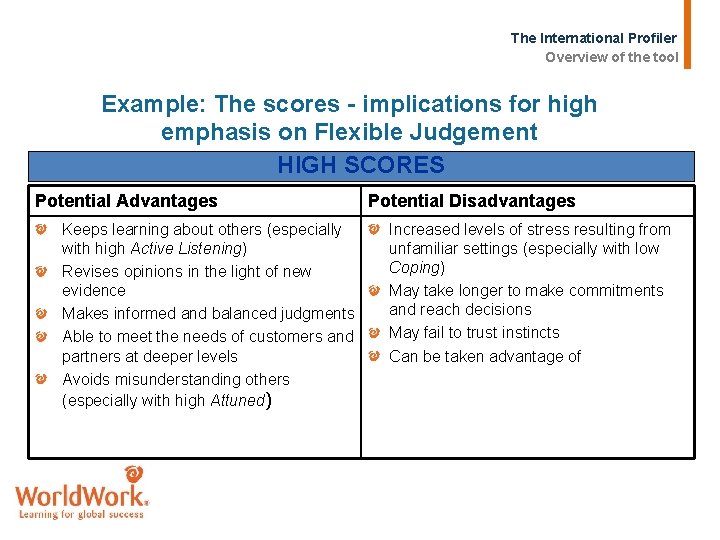 The International Profiler The International Profiler Presentation Overview