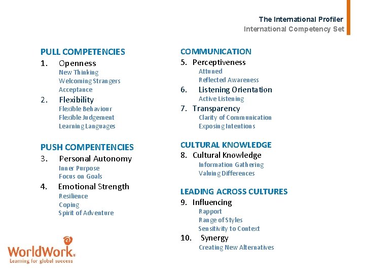 The International Profiler The International Profiler Presentation Overview