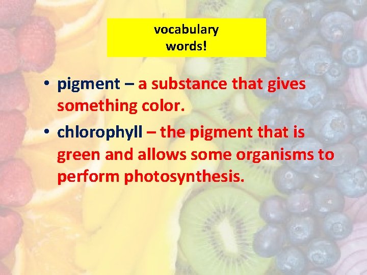 Pigment Chromatography Lab Plant leaves contain different color