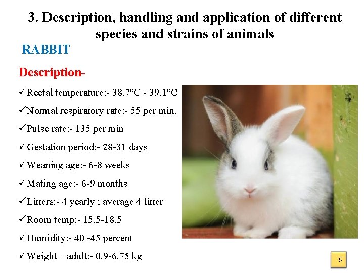 COMMON LABORATORY ANIMALS Department of Pharmacology Guided by