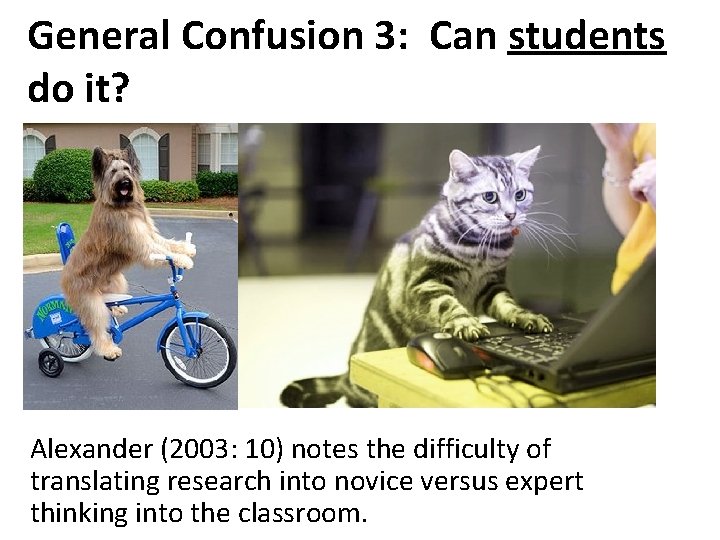 The issue Internal analysis Both teachers and students