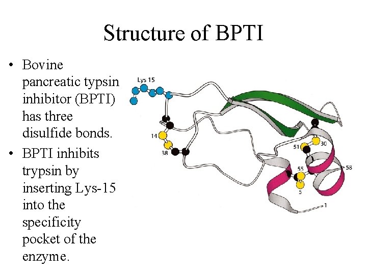 Protein Stability Protein Folding Protein Stability Protein stability