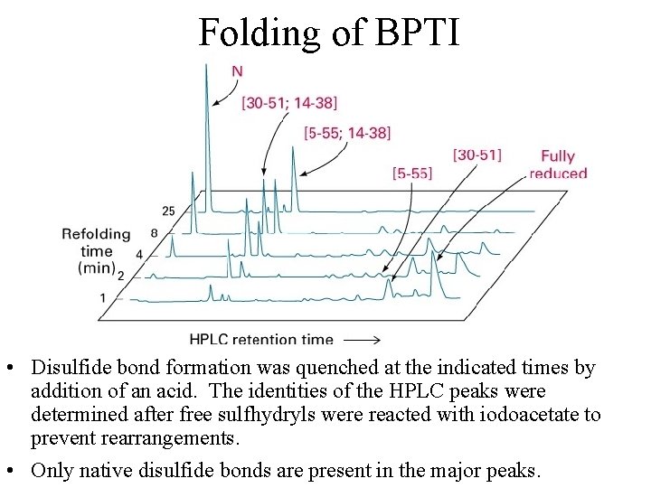 Protein Stability Protein Folding Protein Stability Protein stability