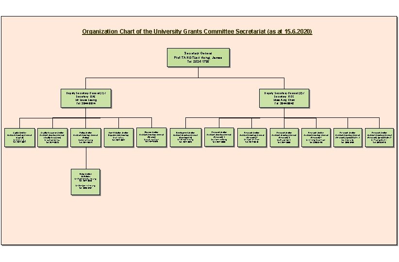 Organization Chart of the University Grants Committee Secretariat