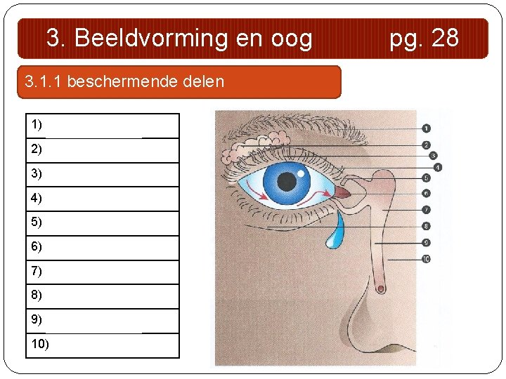 3 Beeldvorming en oog pg 28 3 Beeldvorming
