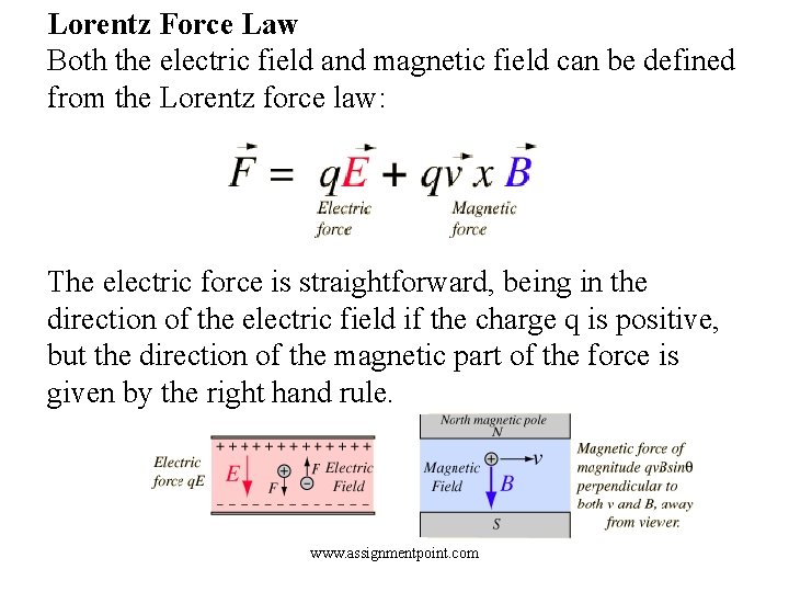 What are magnetic fields www assignmentpoint com Magnetism