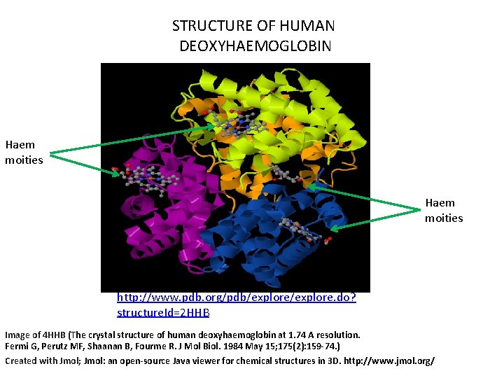 STRUCTURE OF HUMAN DEOXYHAEMOGLOBIN Created with Jmol Jmol