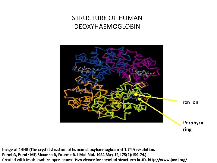 STRUCTURE OF HUMAN DEOXYHAEMOGLOBIN Created with Jmol Jmol