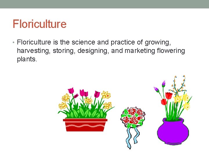 EMPLOYABILITY SKILLS IN HORTICULTURE Essential Standard 2 0