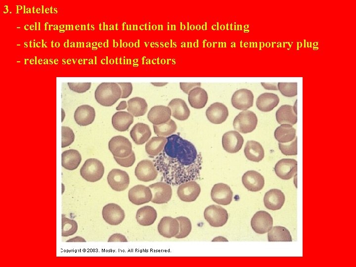 Cardiovascular System Blood Chapter 17 Blood the only