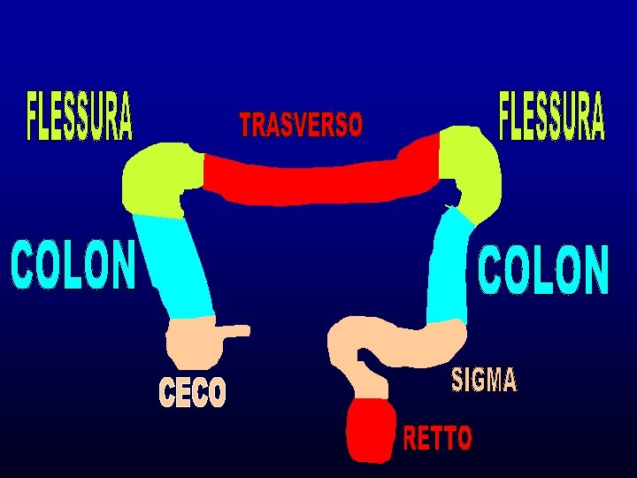 ARCATA DI RIOLANO PUNTO DEBOLE DI GRIFFITH COLICA