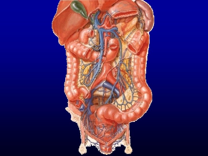 ARCATA DI RIOLANO PUNTO DEBOLE DI GRIFFITH COLICA