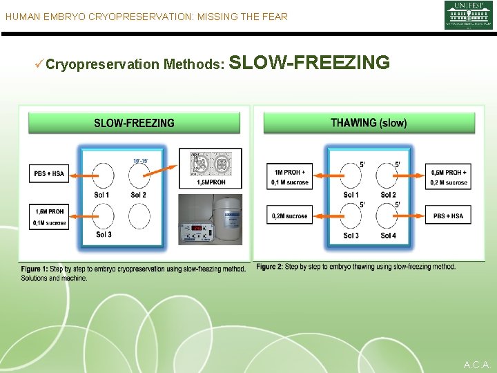 Human Reproduction Center So Paulo Brasil HUMAN EMBRYO