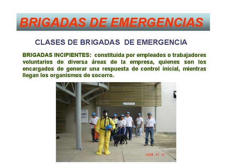 BRIGADAS DE EMERGENCIA BRIGADAS DE EMERGENCIAS organizacin de