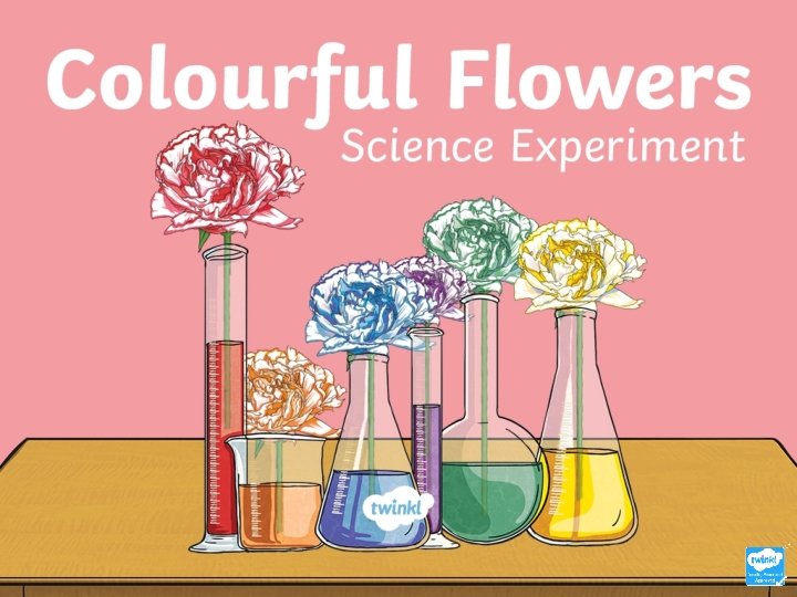 Colourful Flowers Science Experiment You Will Need Four