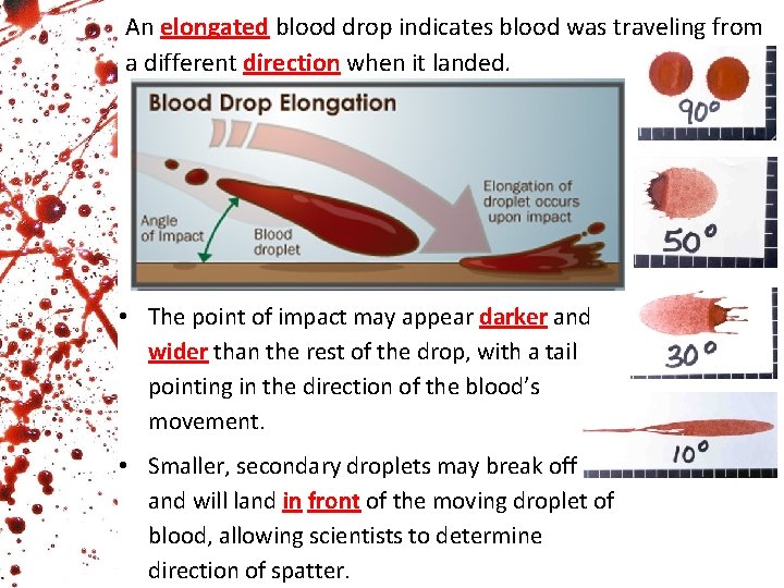 Cohesion 1 Blood sticks together as it falls