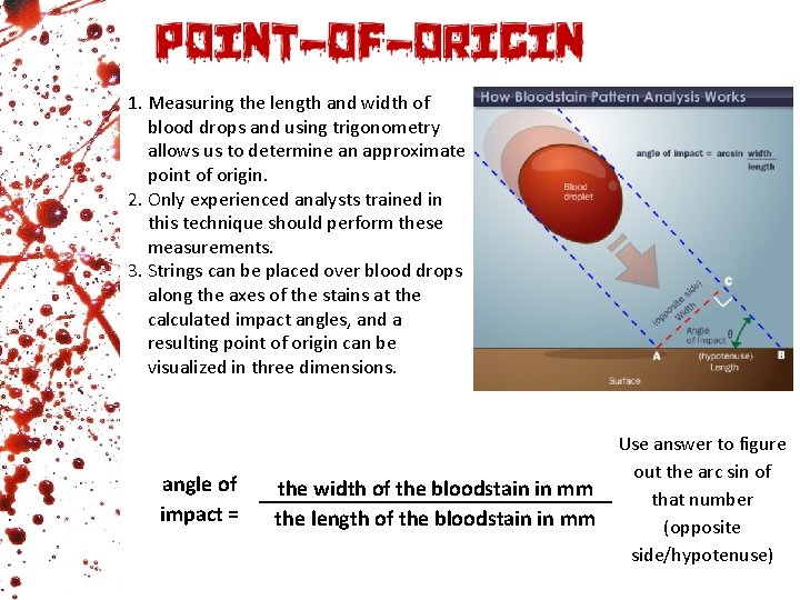 Cohesion 1 Blood sticks together as it falls